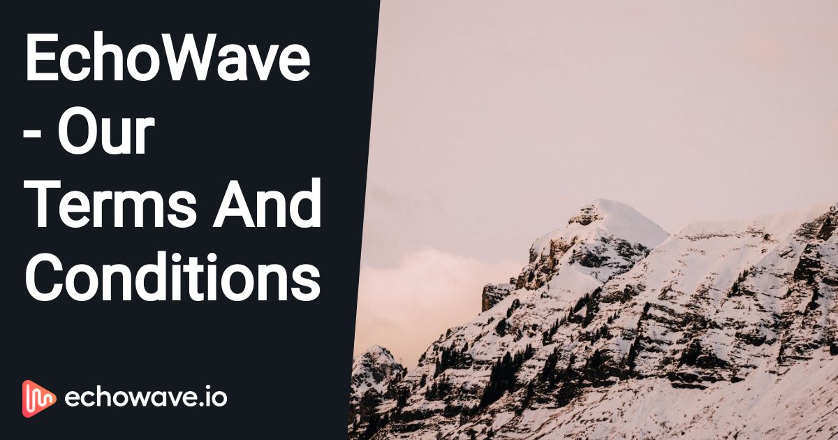 EchoWave - Our Terms And Conditions
